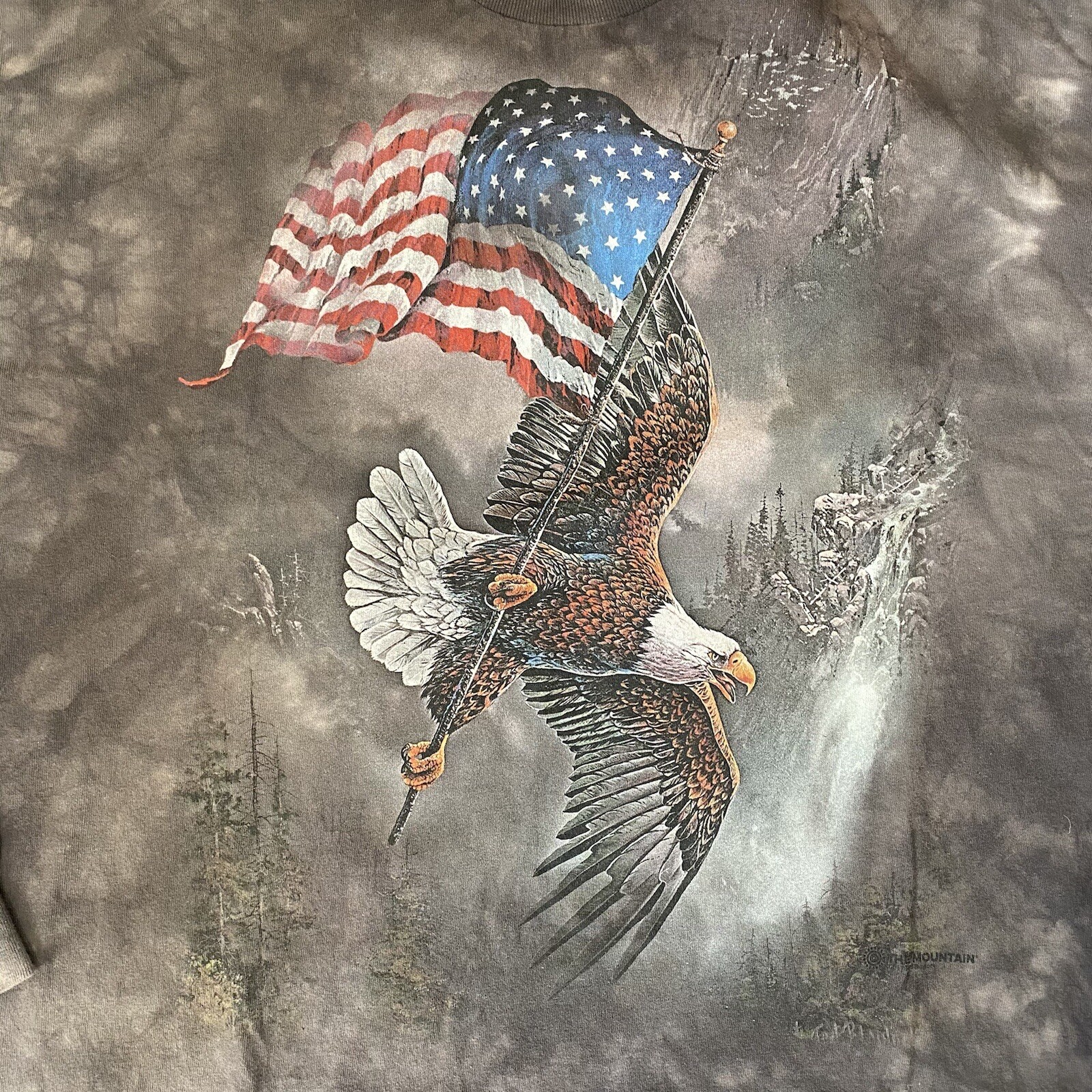 The Mountain Bald Eagle Bird American Flag Patriotic … - Gem