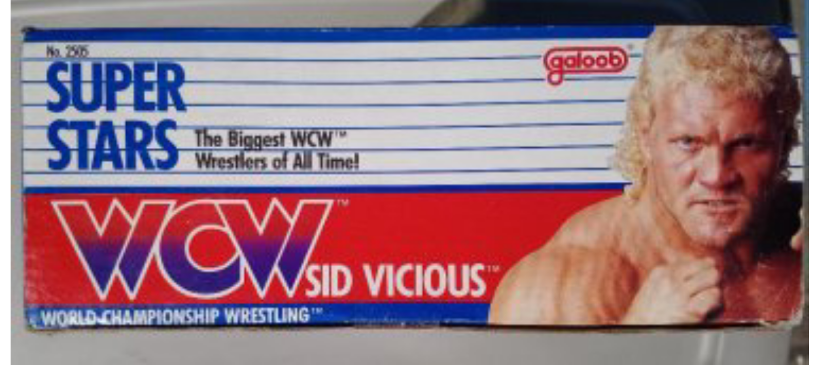 wcw wwf ljn hasbro galoob wrestling superstars signed 12" sid vicious ...