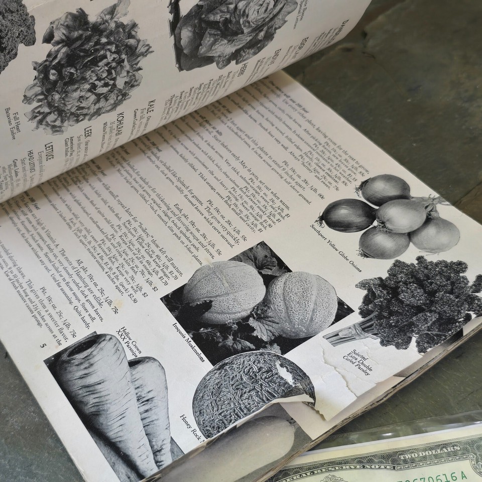 1948 Alexander Forbes Seeds Catalog Seed Plant Garden Vegetable Newark ...