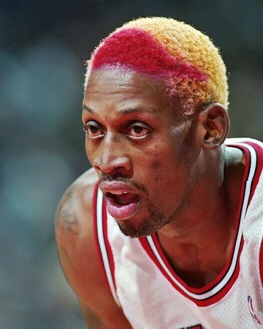 Chicago Bulls Dennis Rodman Basketball Hof 2011 8x10 PHOTO PRINT | eBay
