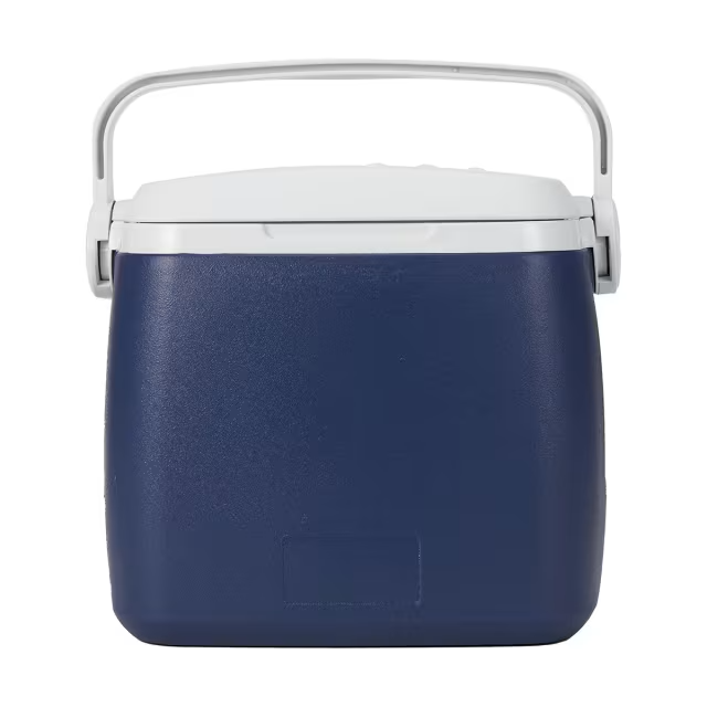 Esky 8L Hard Chilla Cooler Drinks Cans Bag ORIGINAL* | eBay Australia