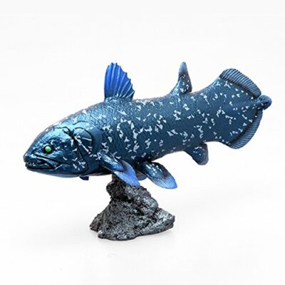 Coelacanth soft model Figure FF-001 77711 Favorite from Japan* | eBay