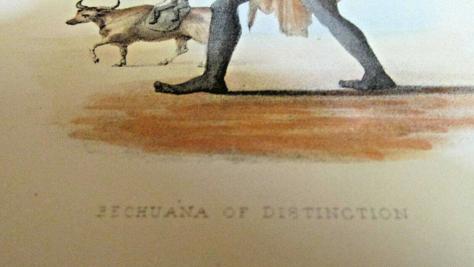 William Cornwallis Harris "Bechuana Of Distinction" 1852 Africa ...