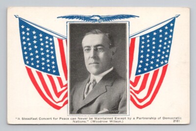 President Woodrow Wilson WWI c1917 Flags 2181 By Auburn Postcard Mfg ...