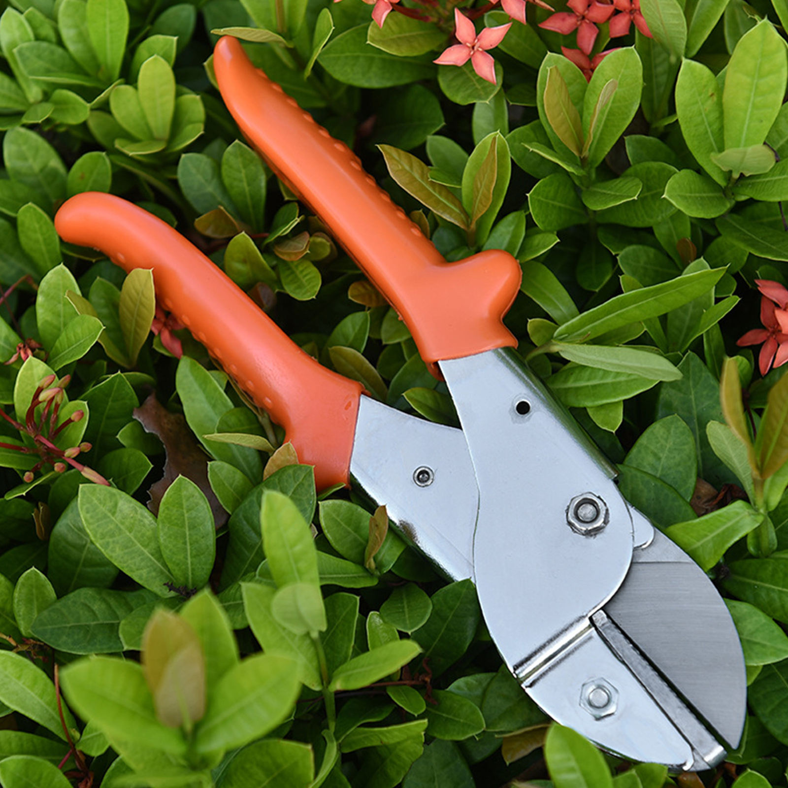 High Carbon Steel Pruning Shears Cutter Gardening Plant Scissor Branch ...