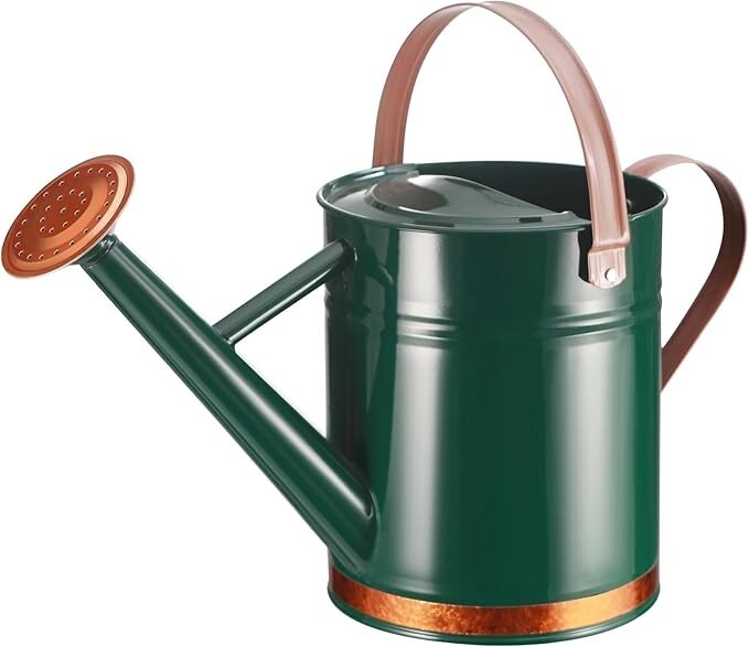 Regadera Para Plantas De Casa Qilebi Regadera Para Plantas De