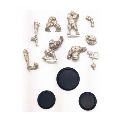 Enigma Fantasy Minis 32mm Massive Darkness Collection #11 NM | eBay