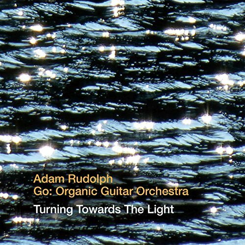 ADAM RUDOLPH / GO: ORGANIC GUITAR ORCHESTRA - TURNING TOWARDS THE LIGHT ...