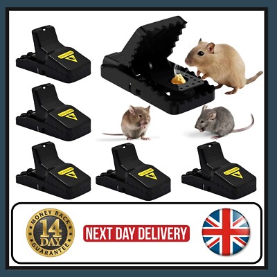 Mouse Traps | Heavy Duty Mice Snap Catcher Rodent Mice Reusable Pest ...