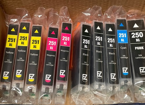 EZ Ink Ink Cartridges Pack Of 10 Expired 3/28/2023 251 Xl 250 Black ...