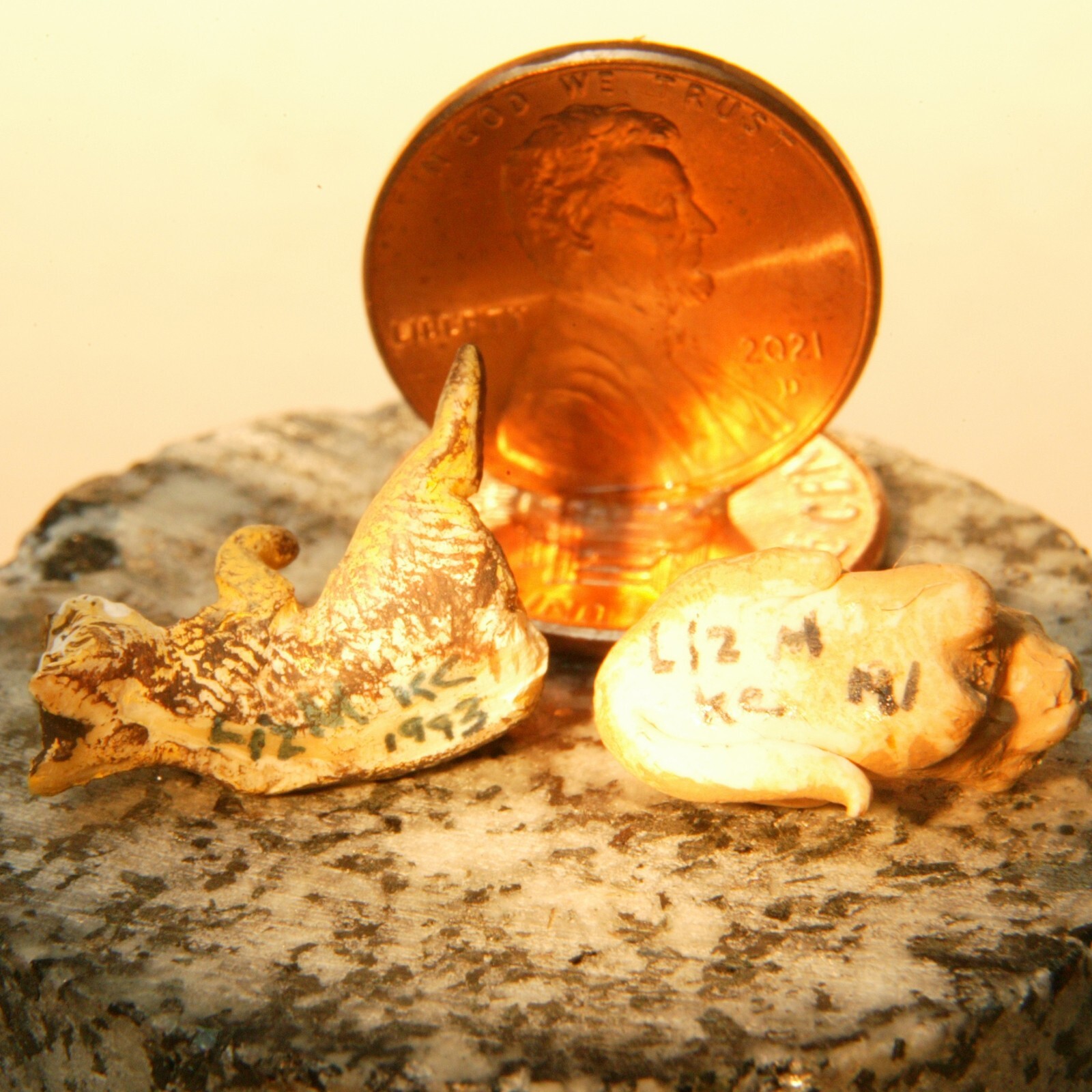 Pair of Vintage tiny Kitty Cats Doll's Dolls by Liz M - Miniature ...