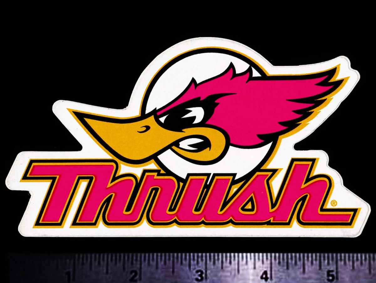 Thrush Bird Logo