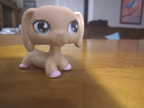 lps littlest pet shop number 909 | eBay