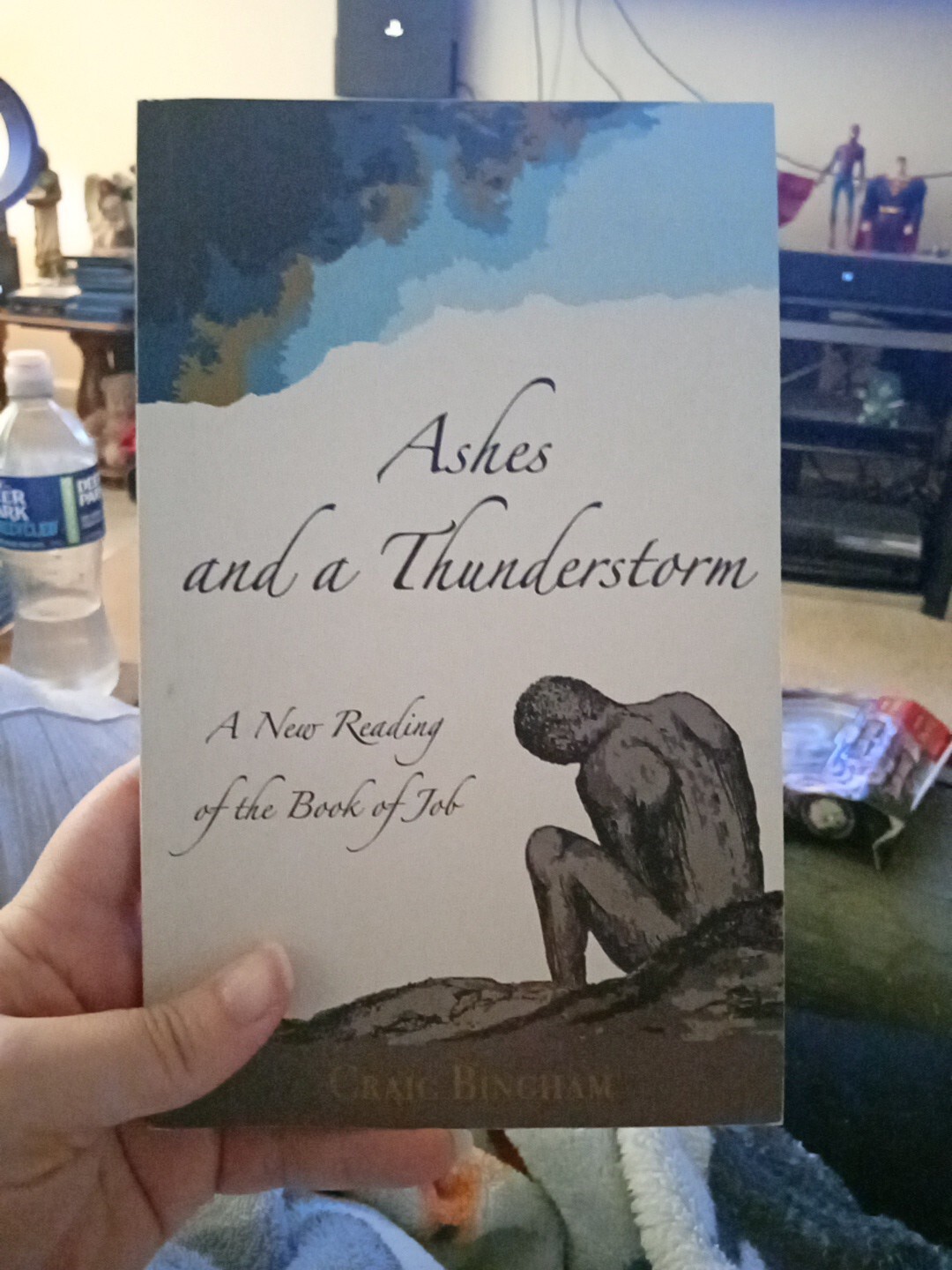 Ashes and a Thunderstorm: A New Reading of the Book of Job by Craig ...