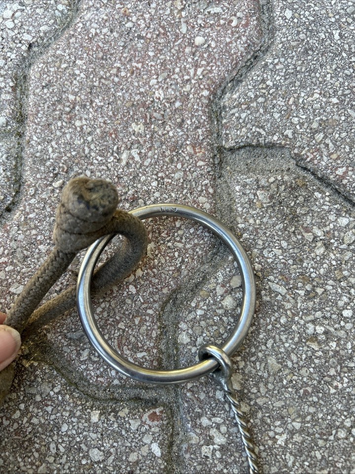 Reinsman Thin Twist O Ring Snaffle Bit 5” Stainless Steel Equestrian ...