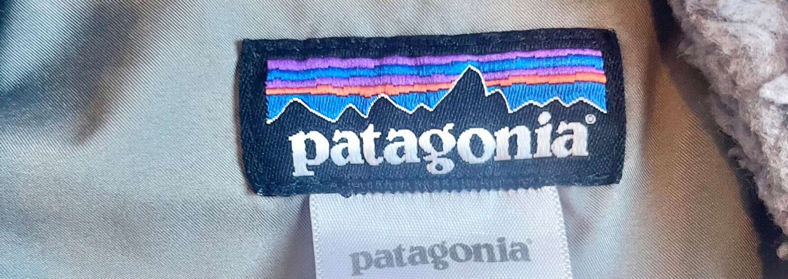 PATAGONIA Women Common Threads Pelage Teddy Sherpa Gr… - Gem