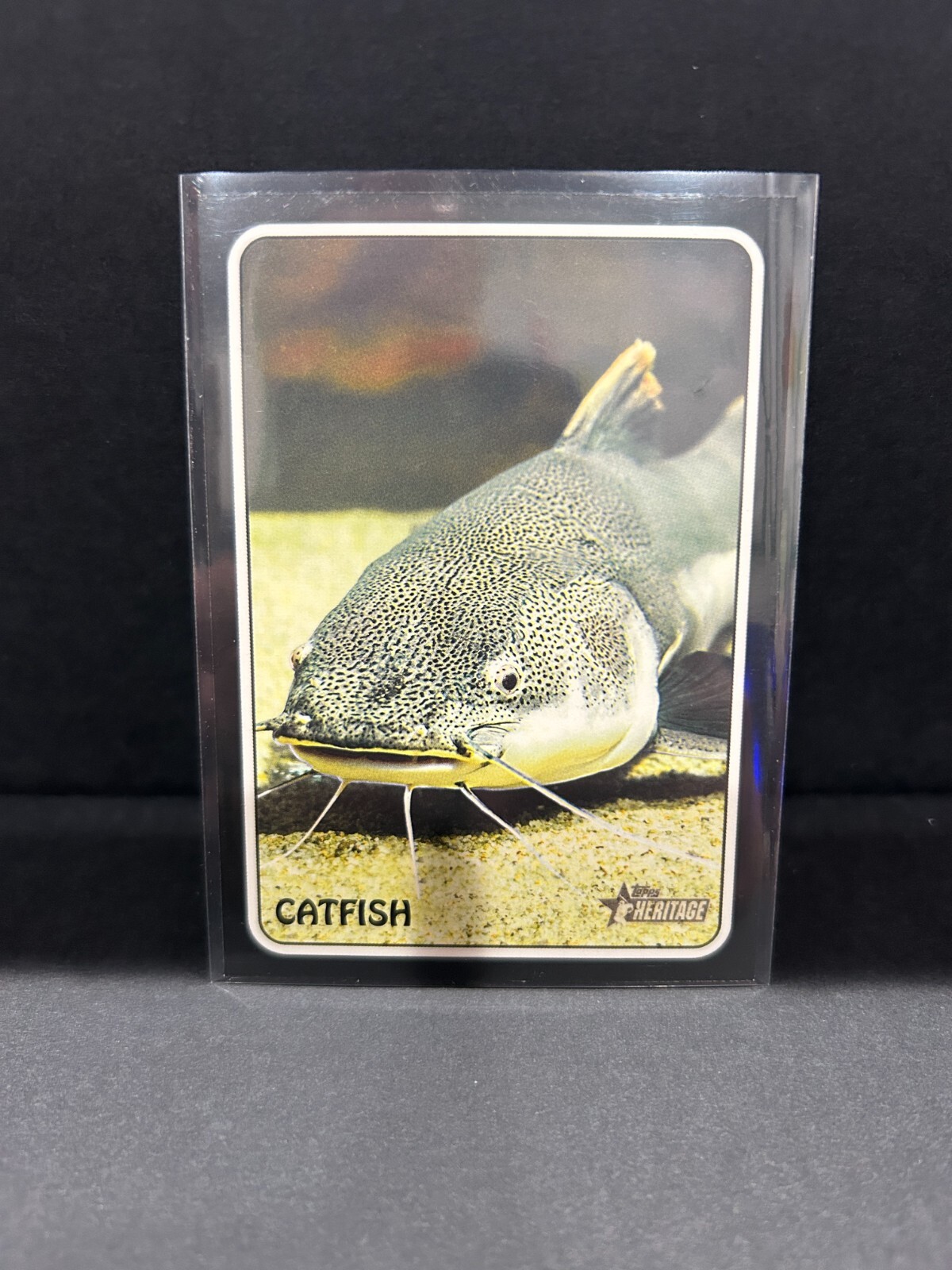 CATFISH HUNTER CATFISH RETRO 1975 ZOO'S WHO STICK-ONS 2024 TOPPS ...