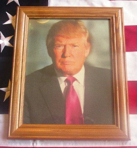 Framed Portrait of DONALD TRUMP, President of the United States....on ...