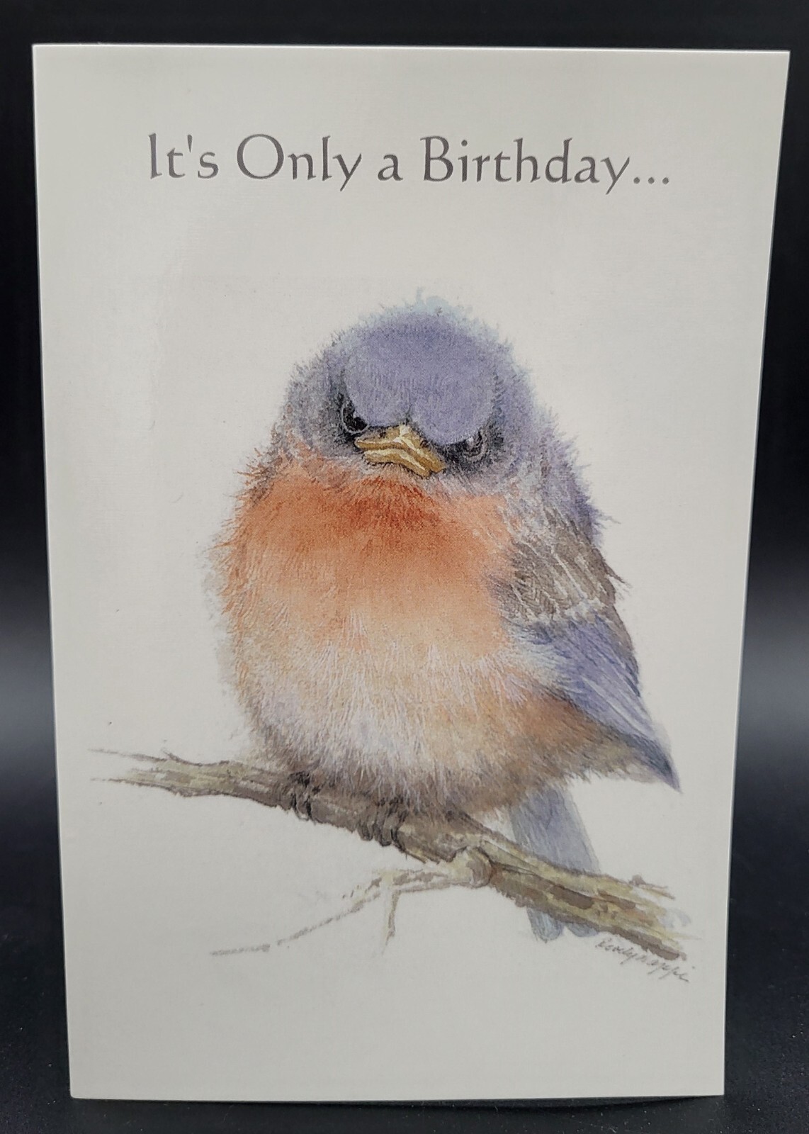 (10 Cards) It's Only a Birthday...Don't Let it Ruffle Your Feathers (w ...