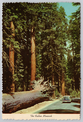 postcard The Fallen Monarch, Yosemite National Park, CA | eBay