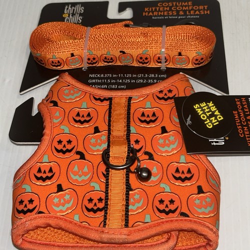 Thrills & Chills Kitten Cat Costume Comfort Harness Leash Pumpkin ...