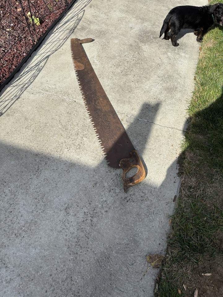 Antique Two Man Crosscut Logging Saw 48” Blade Helper Handle | eBay