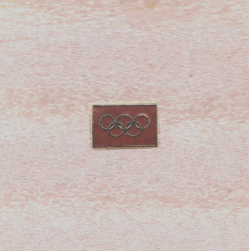 INTERNATIONAL OLYMPIC COMMITTEE IOC OFFICIAL PIN BROWN | eBay