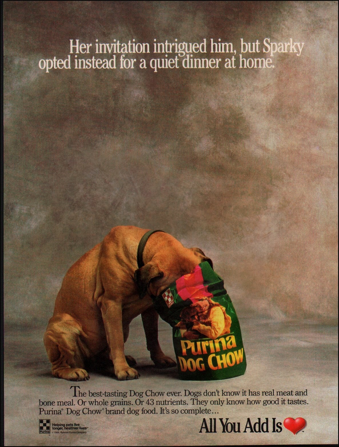 1989 Print ad Purina Dog Chow Plastic bag Brown Dog Collar 02/23/23 | eBay