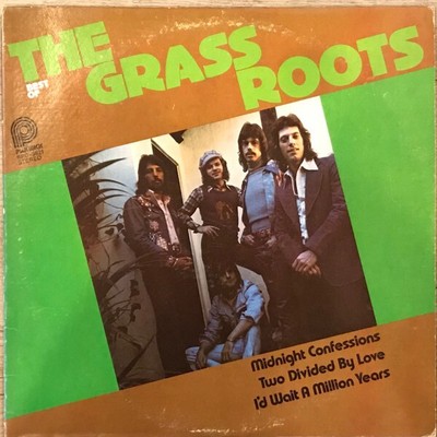 Vinyle - THE GRASS ROOTS - Best Of The Grass Roots (LP,STEREO) | eBay