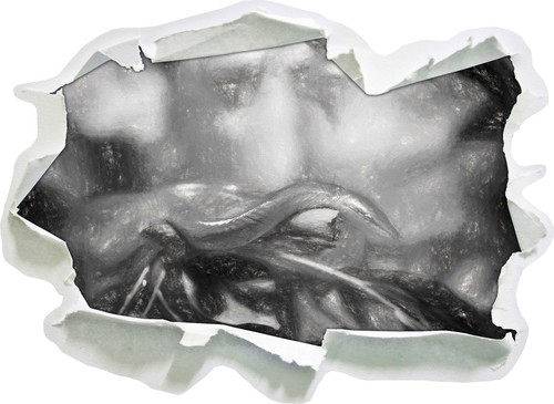 Opaca Verde Serpente Arte Carbone Effetto - 3D-Look Carta Murale ...