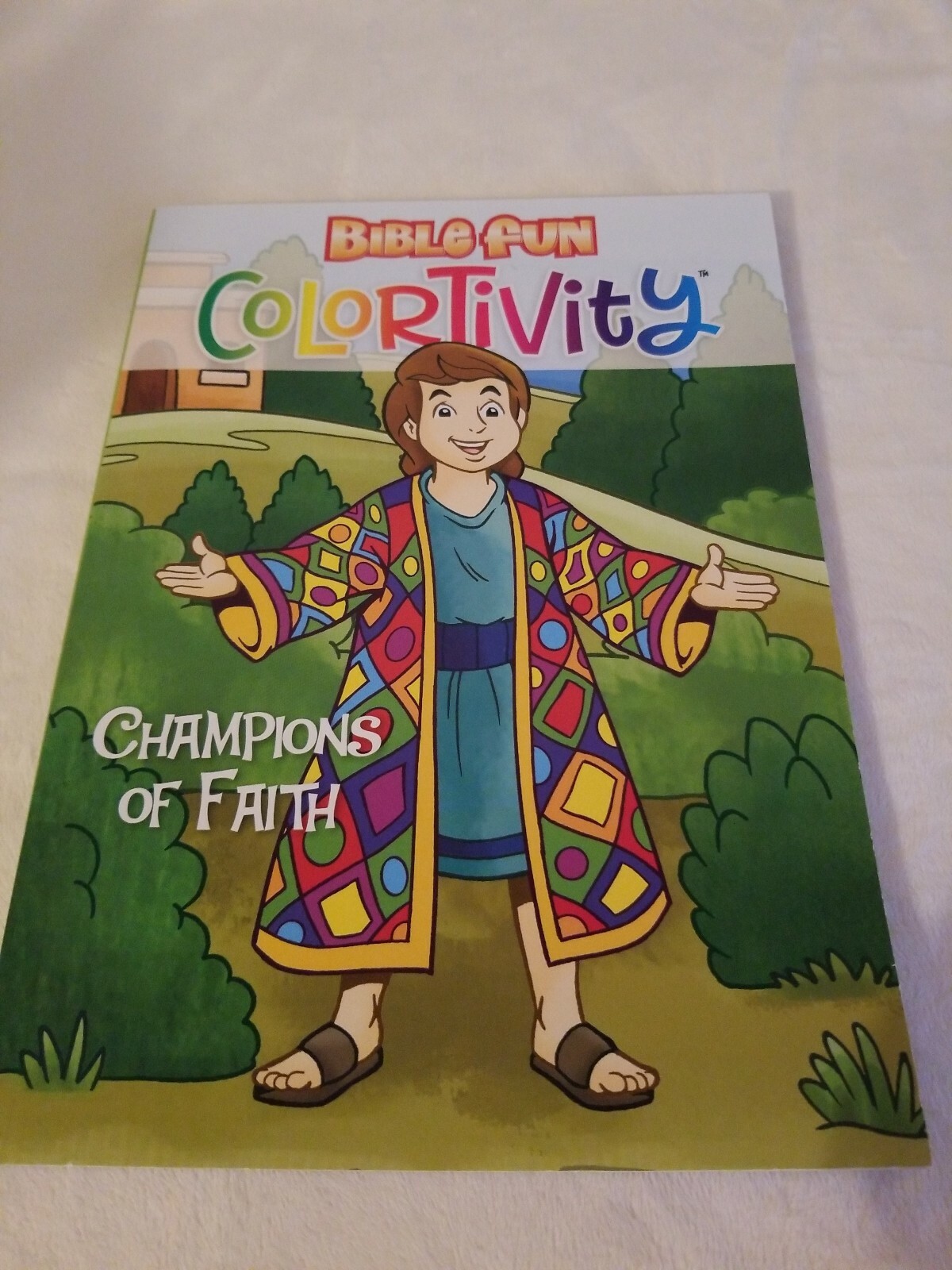 Bible Fun Colortivity Champions Of Faith Bible Activity Coloring Book ...