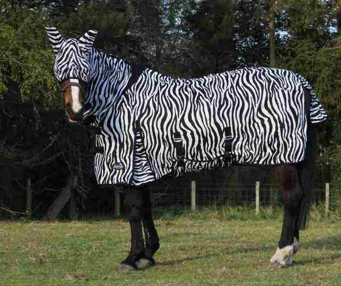 Zebra Print Horse Fly Rug All In One Belly And Tail Flap Elastic Neck ...