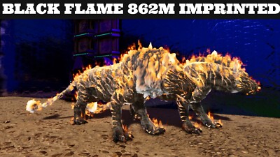 ARK Survival Ascended PvE PC/XBOX/PS5 Top Stats Pyromane (lion) Black ...