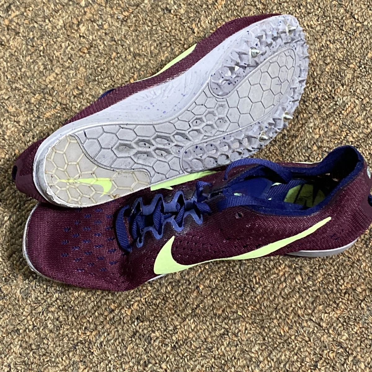 Color Regency Purple