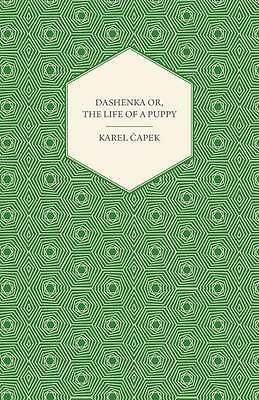 Dashenka or the Life of a Puppy by Karel Capek (2011, Trade Paperback ...