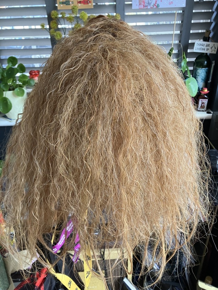 **Authentic LaLa McCallan DRAG WIG–High Volume, High Drama! Shantay ...