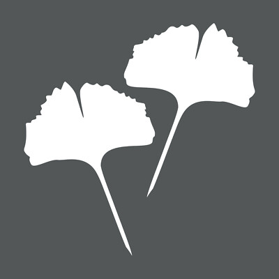 1 Pair 2 Foliage 25cm White Ginkgo Sheets Sticker Tattoo Gingko ...