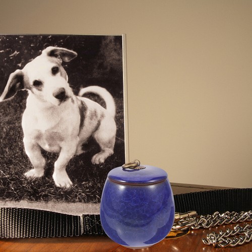 Cremation Urn Keepsake Ceramic Pet Ashes Keepsake Pot Pet Urn Cinerary ...