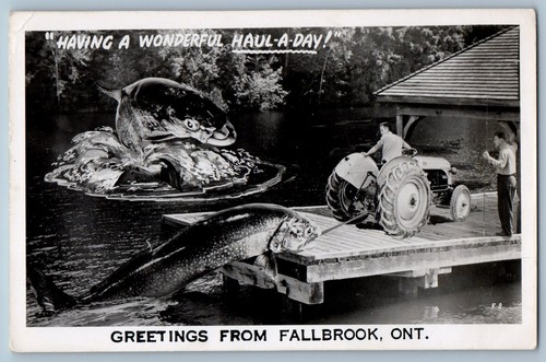 c1940s Exaggerated Fish Fishing Fallbrook Ontario Canada RPPC Photo ...