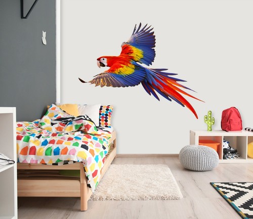 3D Parrot Feather G055 Animal Wallpaper Mural Poster Wall Stickers ...