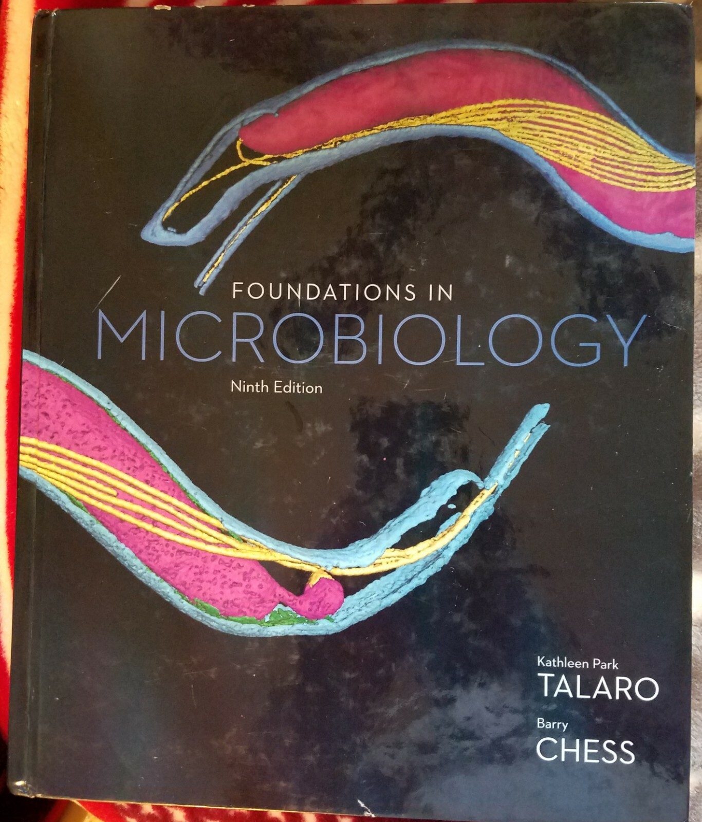 Foundations in Microbiology by Kathleen Park Talaro and Barry Chess ...