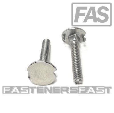 (10) 1/4-20x1-1/2 Stainless Steel Fanged Elevator Bolt Square Neck (3/4 ...
