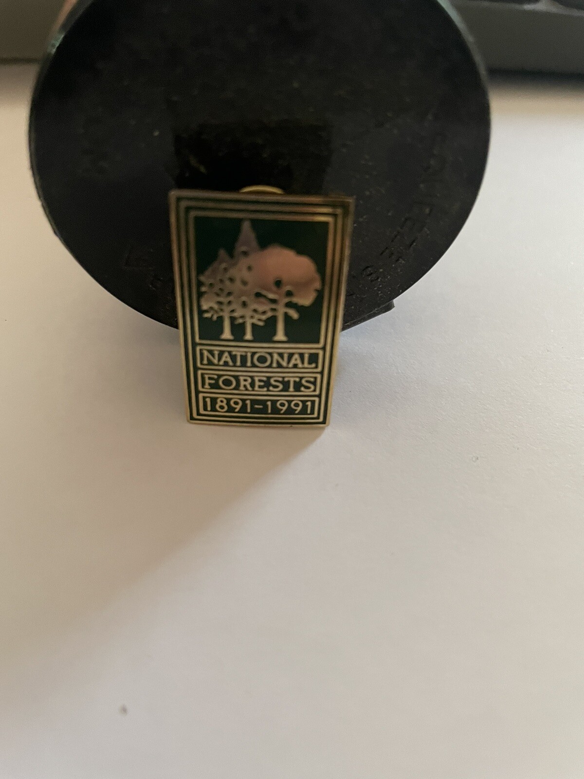 USDA Forest Service Pin National Forest 1891-1991 ( Lapel, Hat, Tie ...