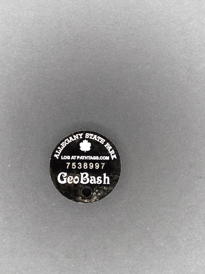 Geocaching Pathtag The Carlsons 2015 #7538997 | eBay