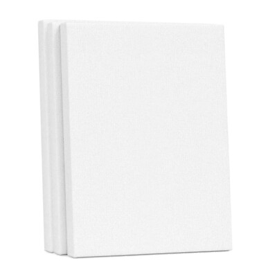 Stretched Blank Canvas Framed Painting Supplies Art Board Canvas Panels ...