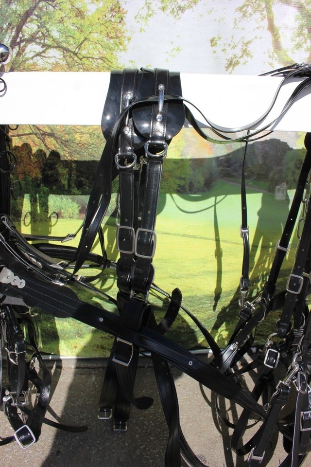 Team work harness USA MADE for 2 horses - drafts with stainless steel ...