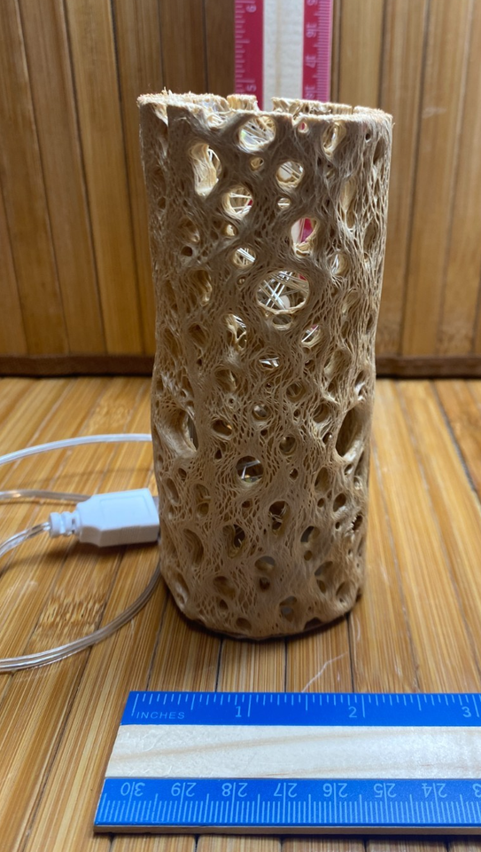 Hand Crafted Upcycled USB Powered Natural Cholla Wood Mini LED Lamp | eBay
