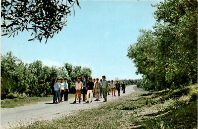 Palphot, Herzlia, Kanot Agricultural High School, Kanot Street, Israel ...