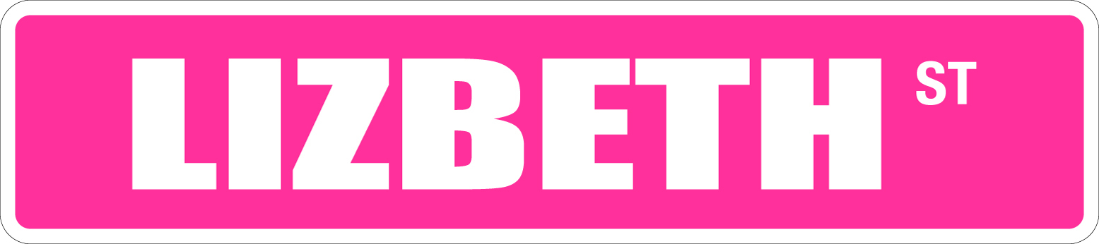 *Aluminum* Lizbeth 4" x 18" Metal Novelty Street Sign SS 2366 | eBay