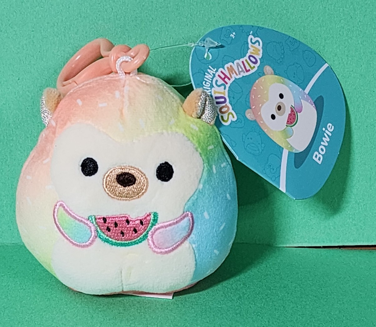 Hedgehog Eating Watermelon